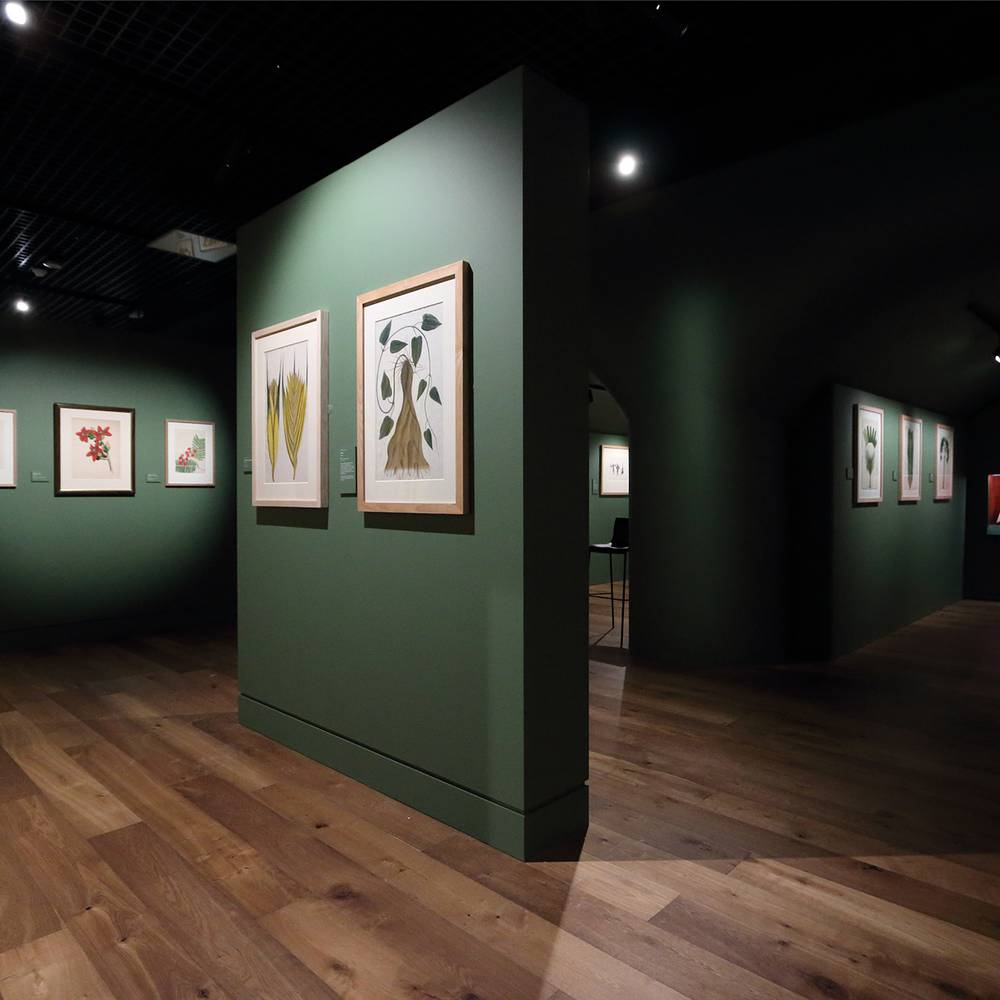 About Us - The Wallace Collection