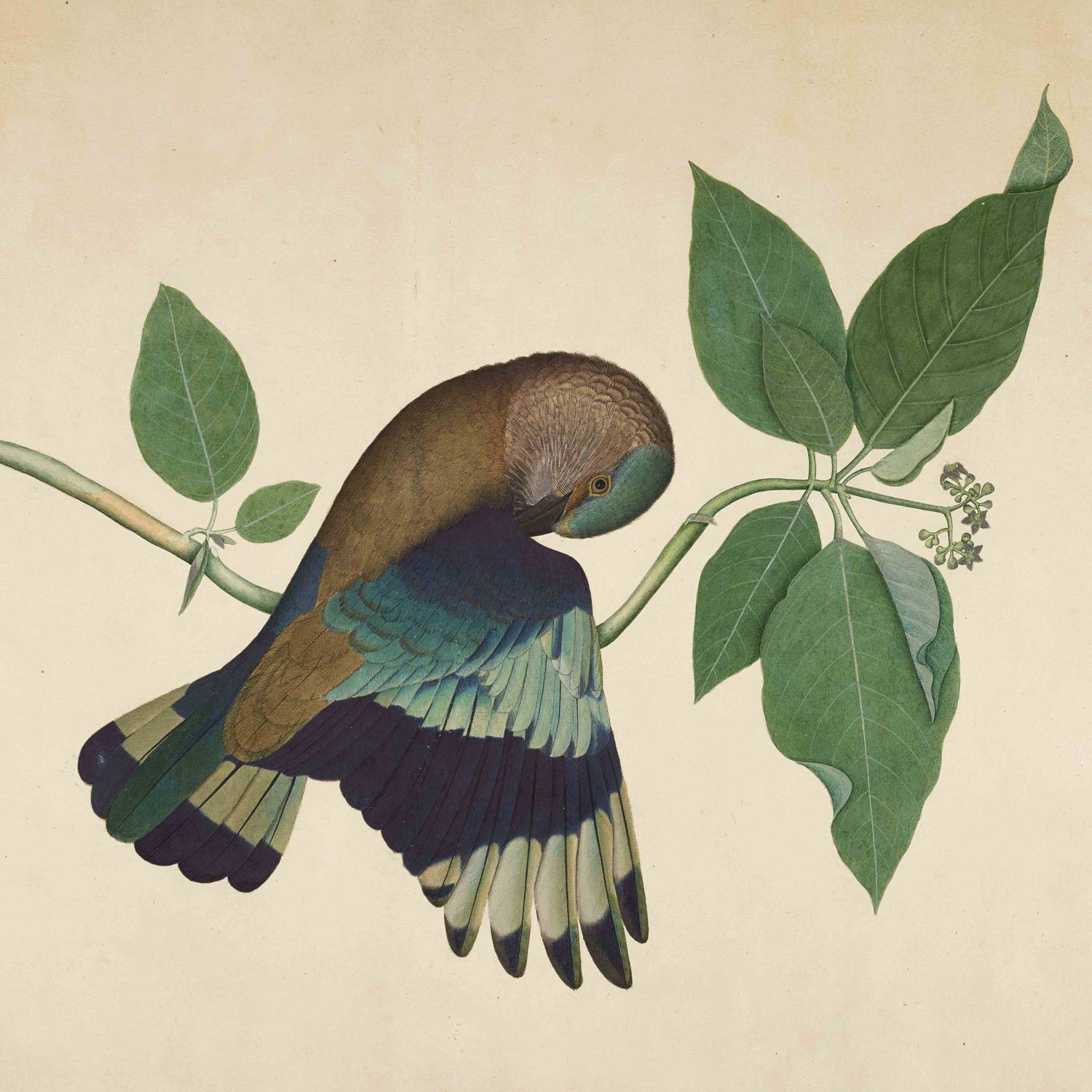 Past Exhibitions & Displays - The Wallace Collection